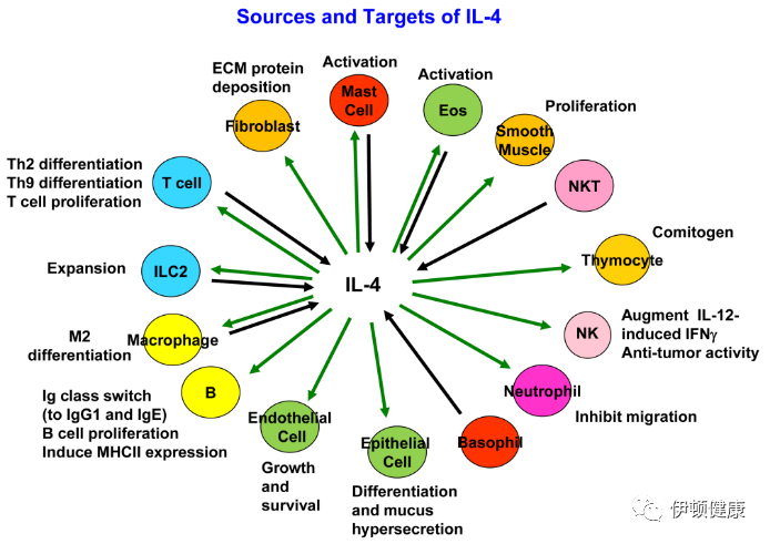 特应性皮炎达必妥的靶点IL-4/IL-4R还能够治疗哪些疾病？ - 伊顿健康