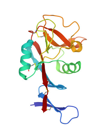 红斑狼疮新靶点BDCA-2研究进展，药物临床效果优秀 - 伊顿健康
